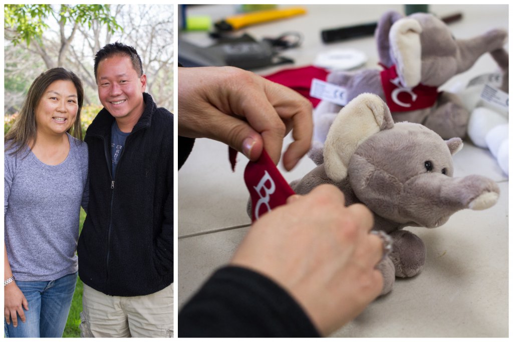 Video spotlight: Warehouse Purchase for Plush-toy Maker Charges ...